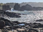 Bombo Headland Geological Site – Travelling Worm